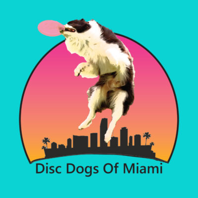 Disc Dog Clubs – Skyhoundz